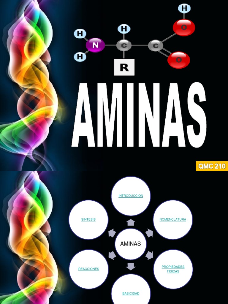 Reacciones y Usos de las Aminas | PDF | Amina | Alcohol