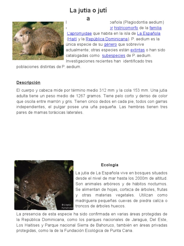 La Jutia o Jutía | PDF