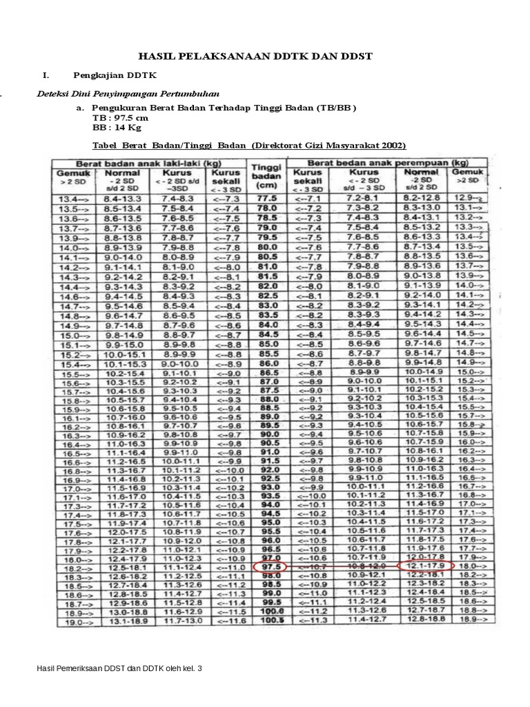 Hasil Pemeriksaan DDST dan DDTK Anak | PDF