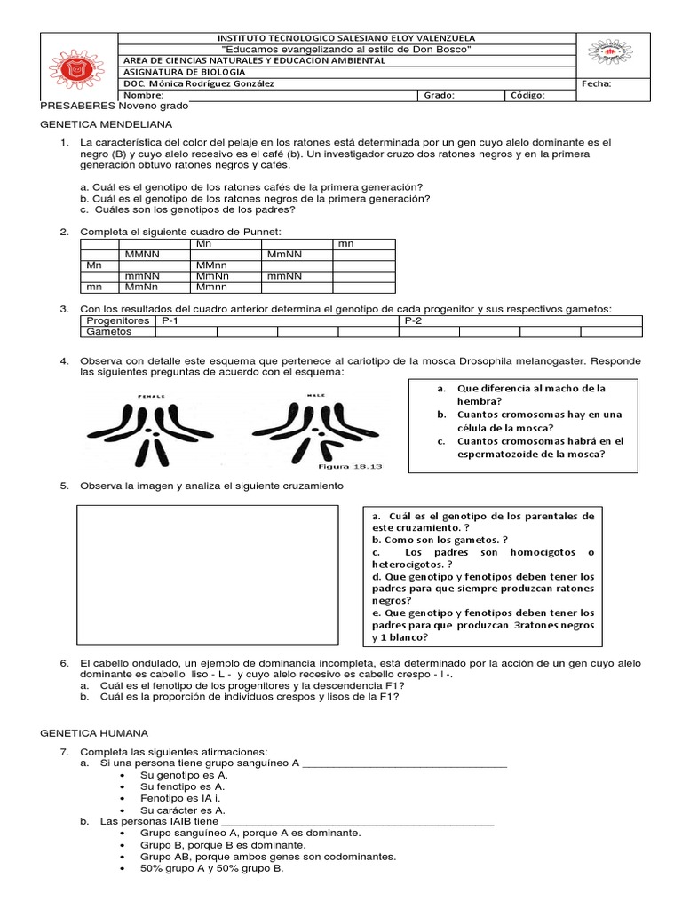 Genética Mendeliana y Humana en Biología | PDF | Dominancia (Genética ...