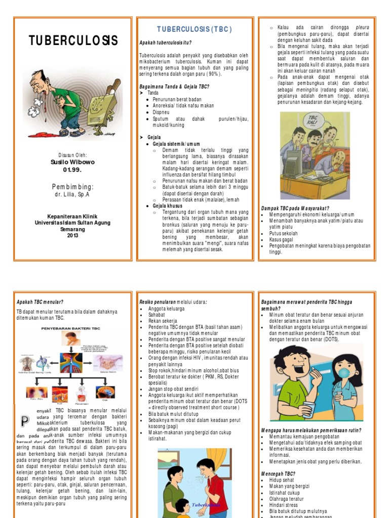 Panduan Penanganan dan Pencegahan TBC | PDF