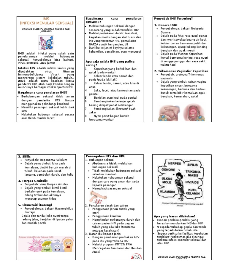 Leaflet IMS 2 | PDF