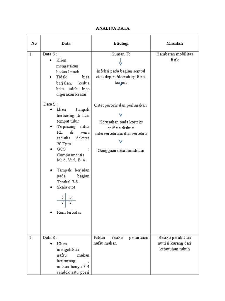 ANALISA DATA Askep Kel Lina | PDF