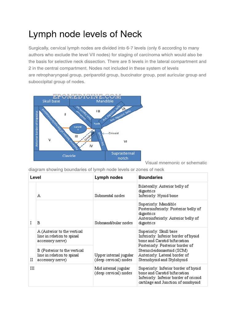 Cervical Lymph Node Levels Explained | PDF
