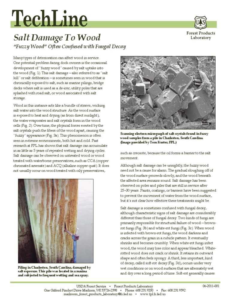 Salt Damage To Wood: "Fuzzy Wood" Often Confused With Fungal Decay ...