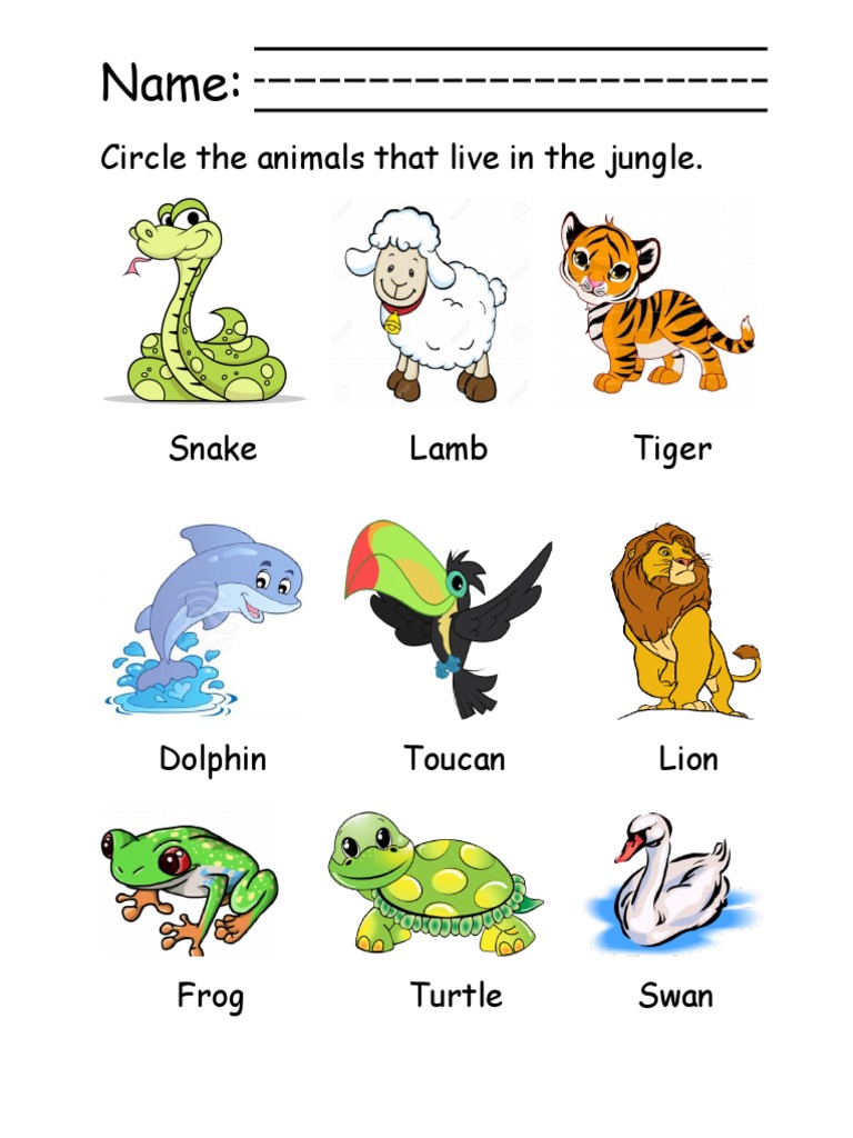 Name:: Circle The Animals That Live in The Jungle | PDF