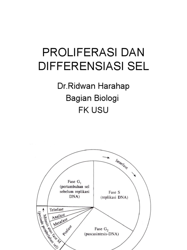Proliferasi Dan Differensiasisel | PDF