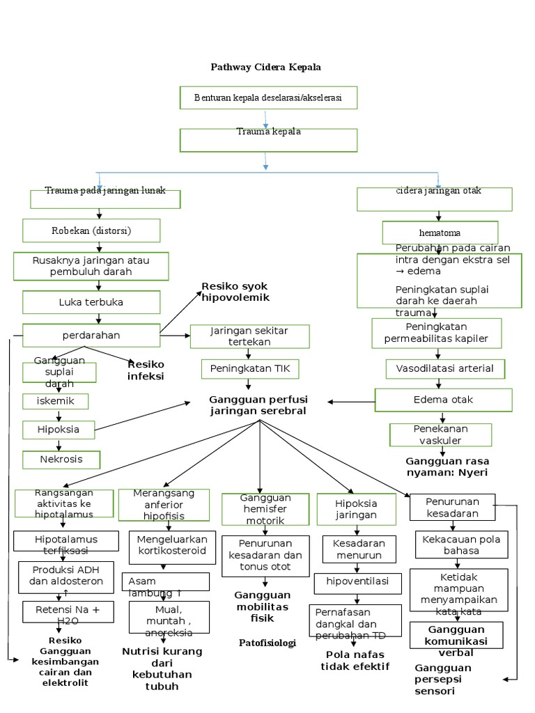 Pathway Cidera Kepala | PDF