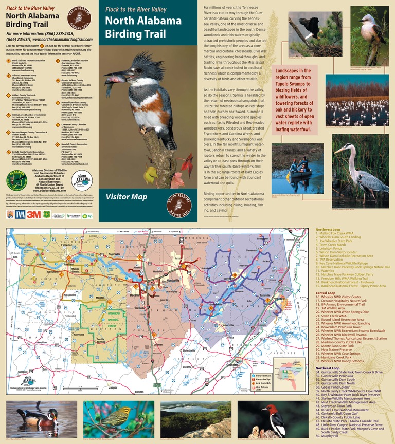 North Alabama Birding Trail Visitor Brochure | PDF | Birdwatching | Birds