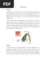 Drenaje Biliar: Sonda T y Cuidados | PDF | Cirugía | Especialidades Medicas