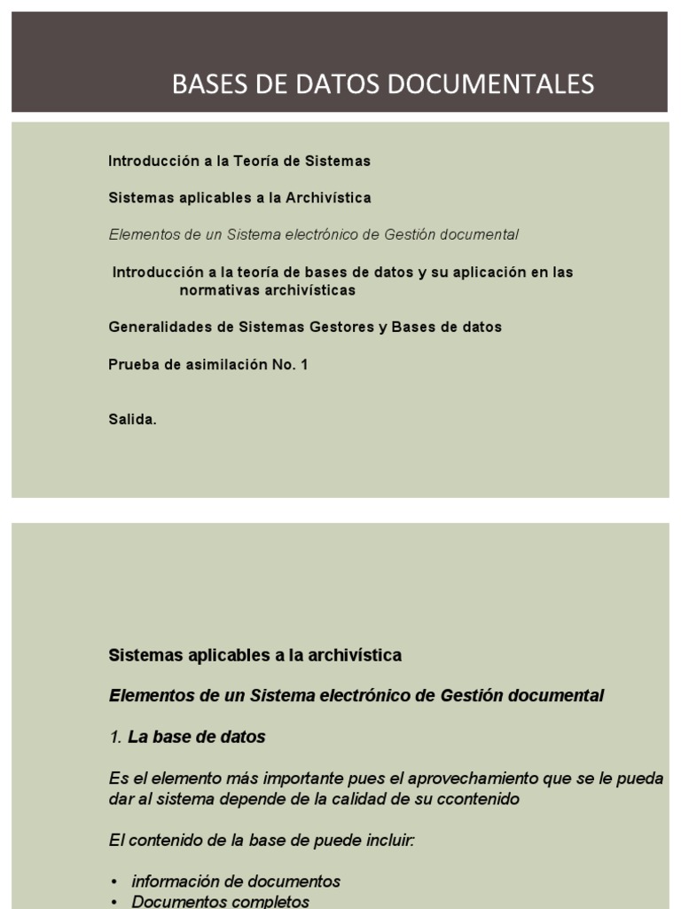 Bases de Datos Documentales | PDF | Archivo de computadora | Bases de datos