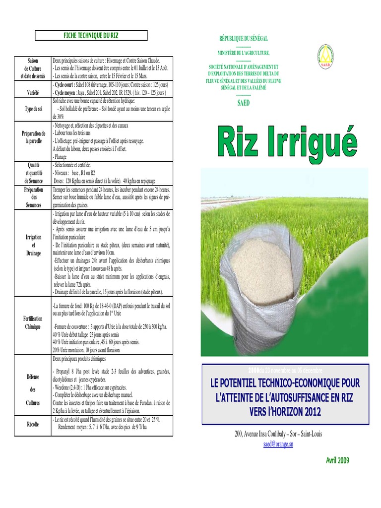 Fiche Riz Irrigue PDF | PDF | Riz | Irrigation