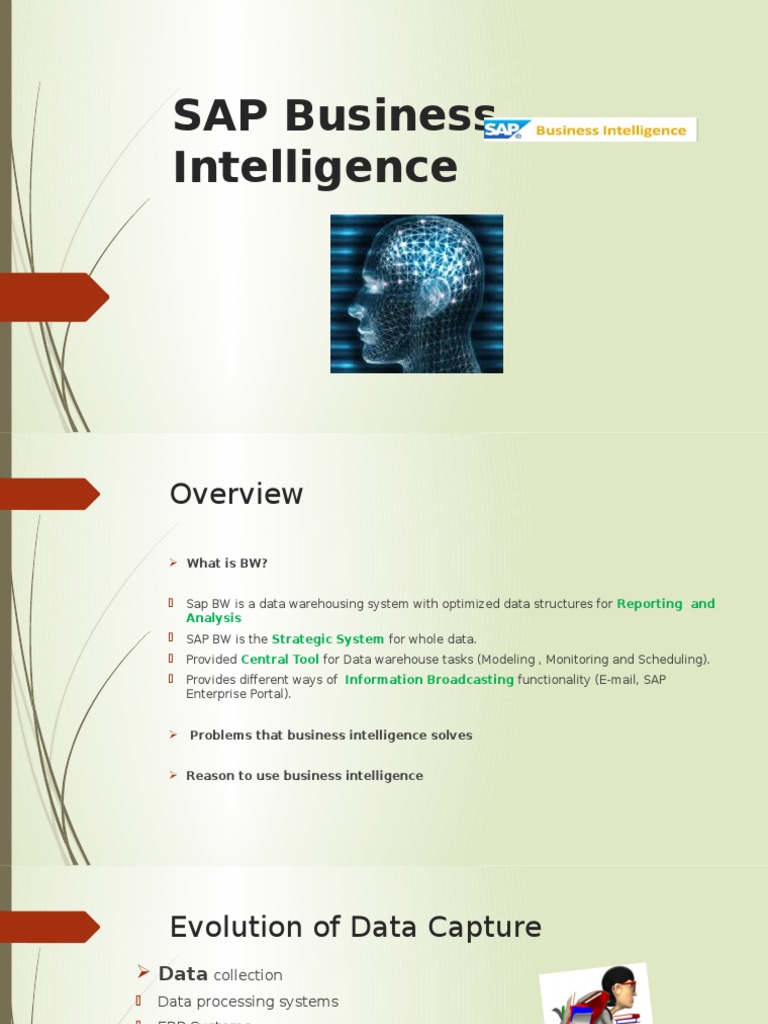 Introduction To SAP BI | PDF