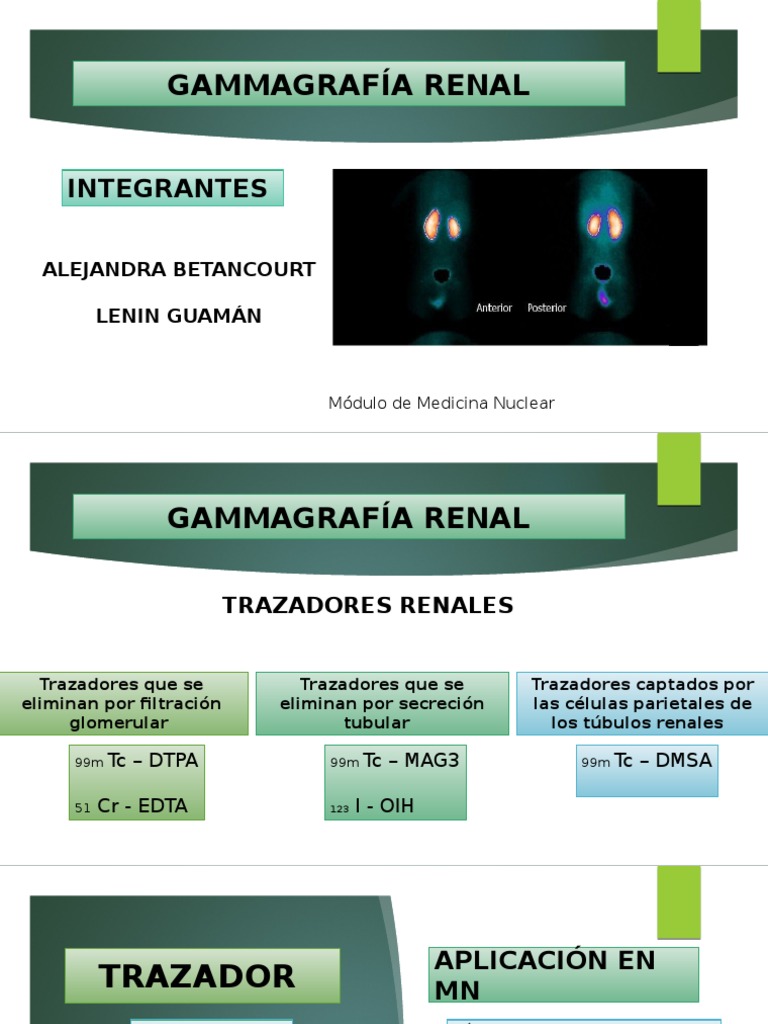 Gammagrafía Renal | PDF | Riñón | Órgano (anatomía)