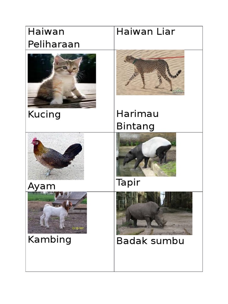 Haiwan Peliharaan Dan Haiwan Liar | PDF