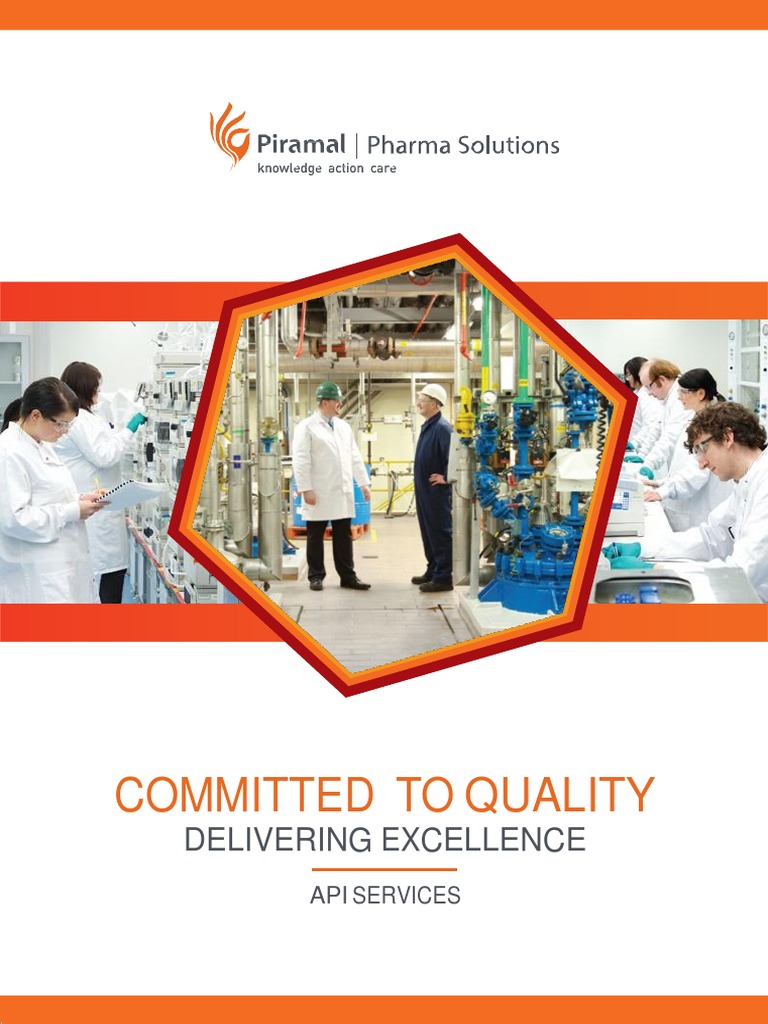 API Drug Manufacturing Services and Process | PDF | Clinical Trial ...