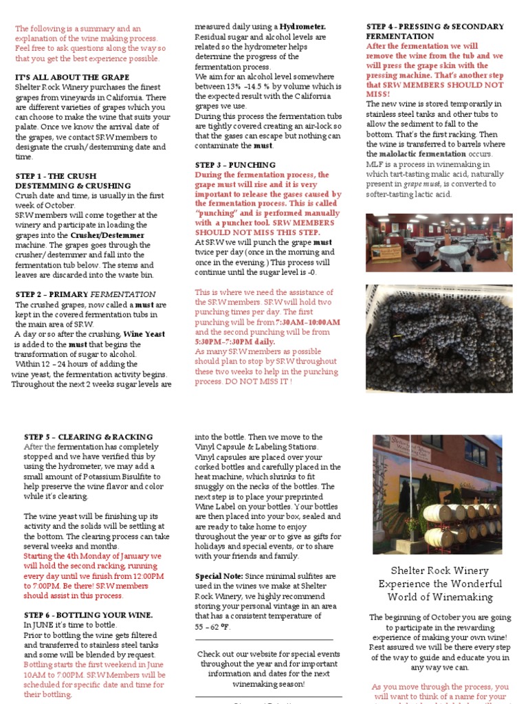 Winery Winemaking Process | PDF | Winemaking | Fermentation In Winemaking
