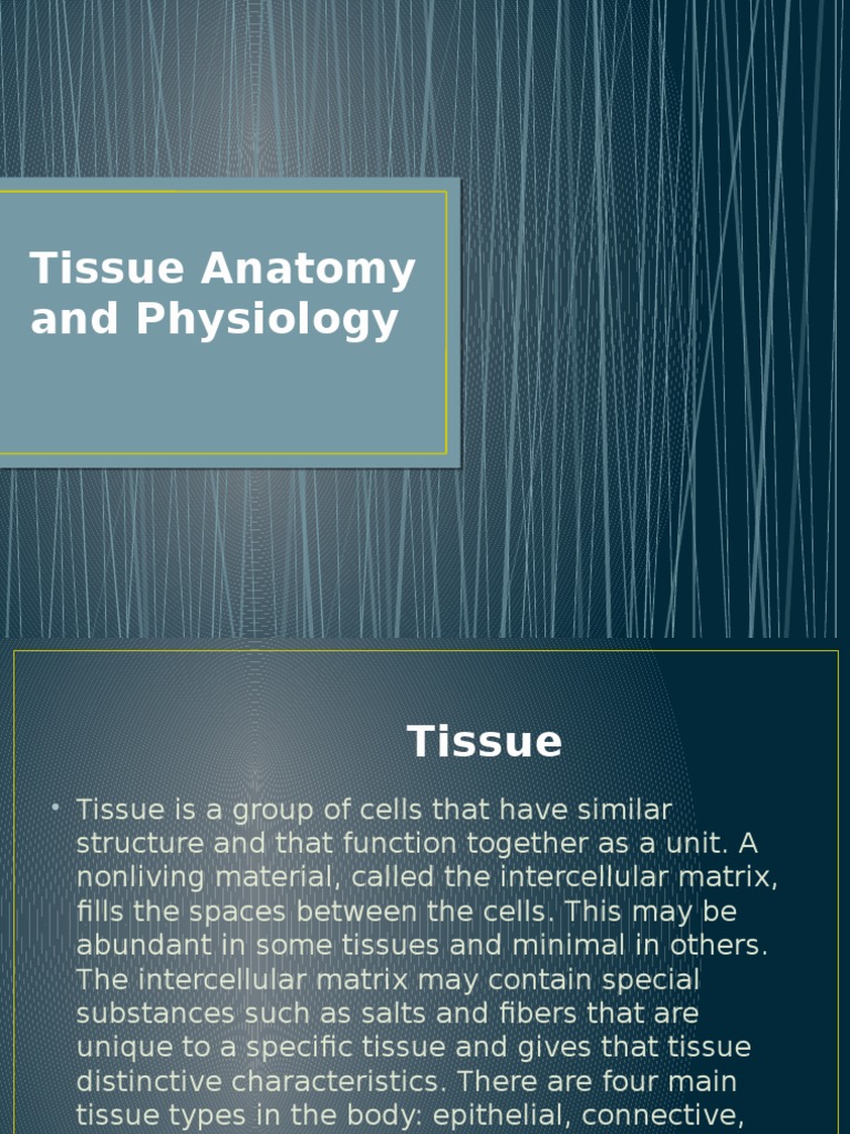 Tissue Anatomy and Physiology | PDF | Epithelium | Neuron