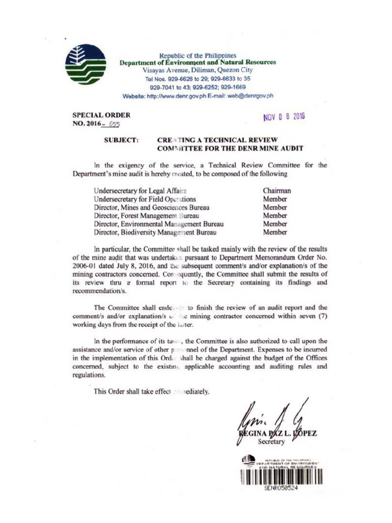 DENR Technical Review Committee Findings | PDF