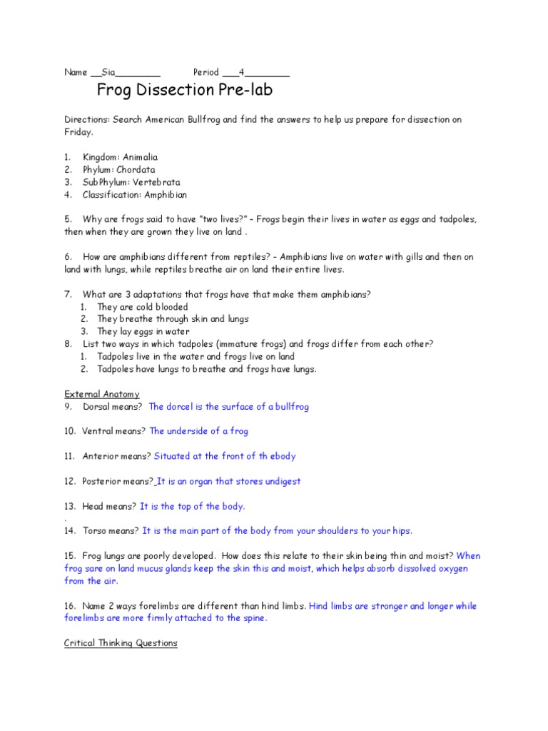 Frog Dissection Pre-Lab Guide | PDF | Frog | Amphibian