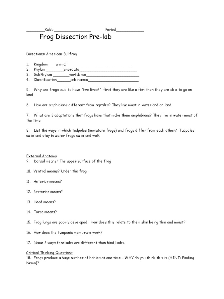 Frog Dissection Pre-Lab | PDF | Science & Mathematics