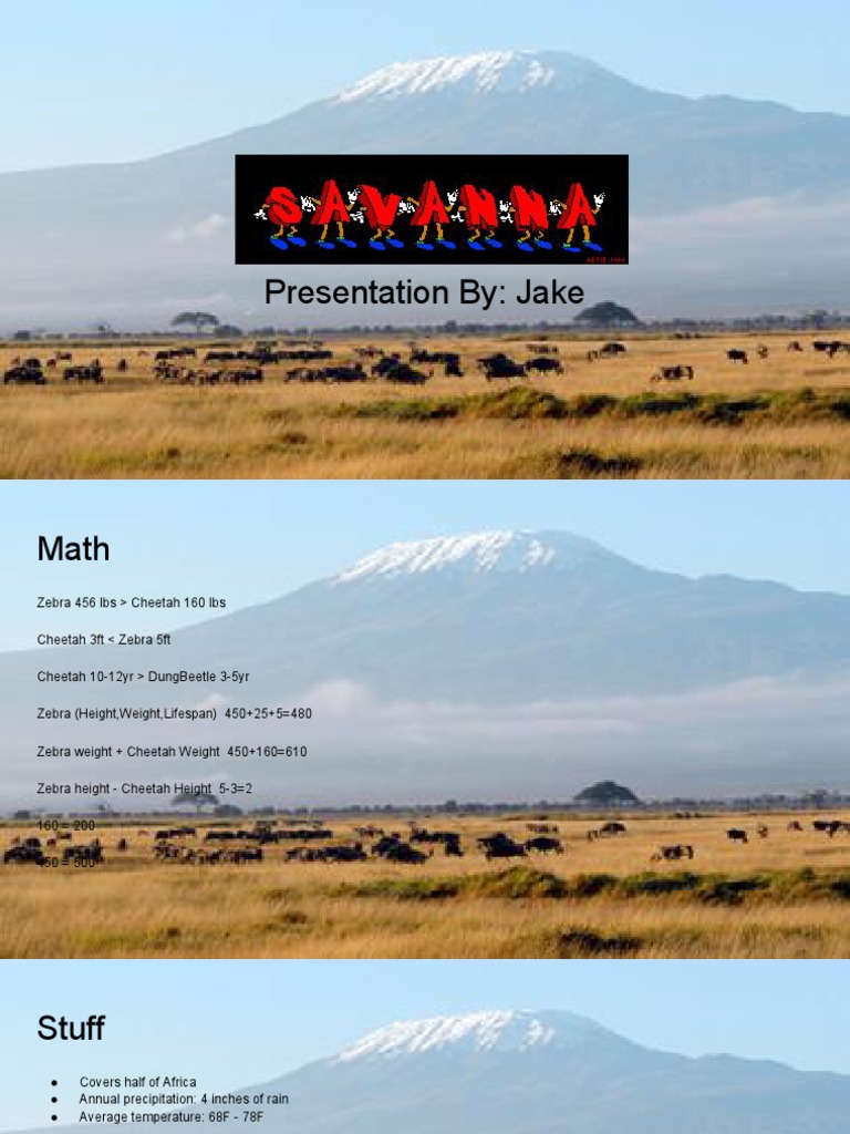 Savanna Slides | PDF