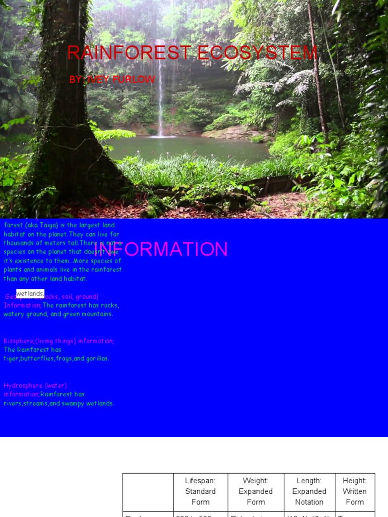 Rainforest Facts for Kids | PDF | Science & Mathematics