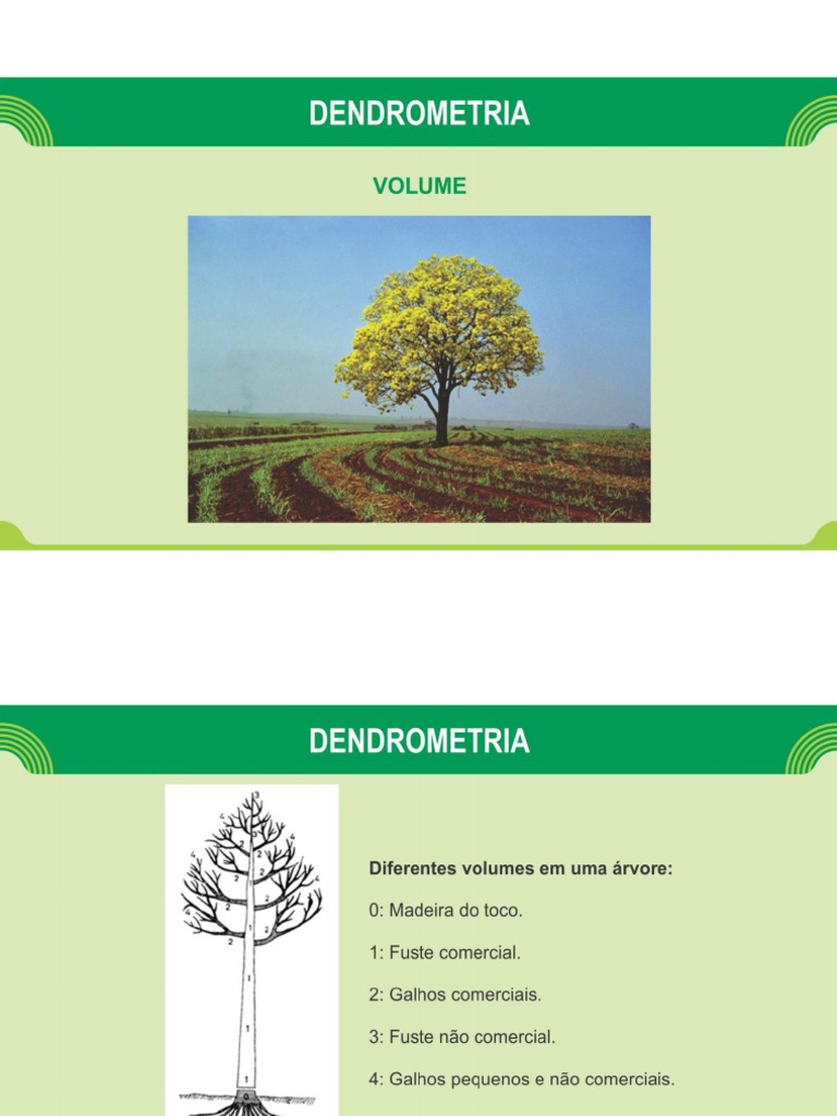 Aula 12 - Dendrometria - Volume | PDF