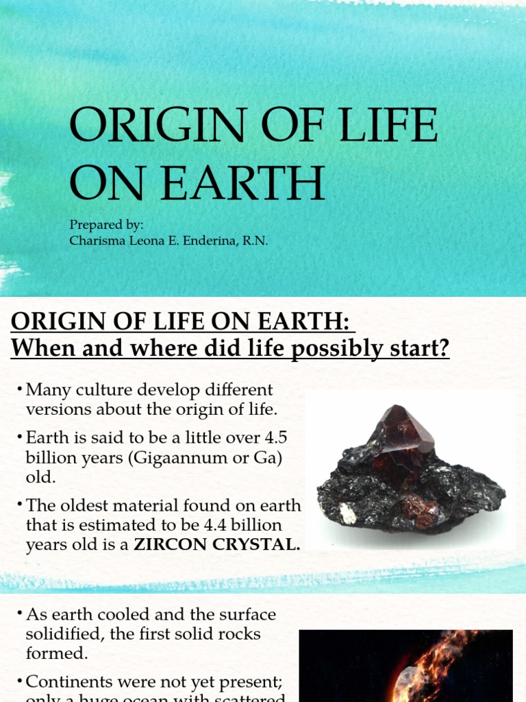 Origin of Life On Earth | PDF | Cell (Biology) | Organisms