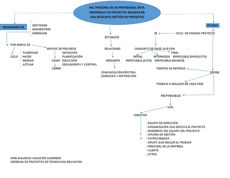 Map A Conceptual Rol Profesional | PDF