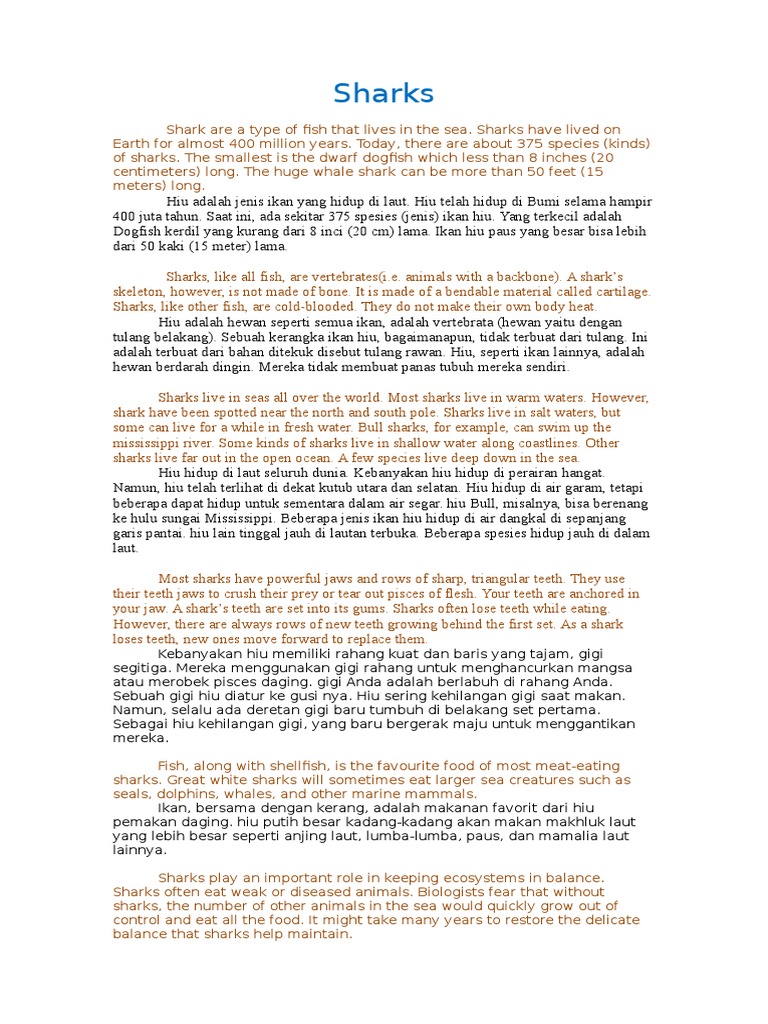 Sharks Text Report | PDF