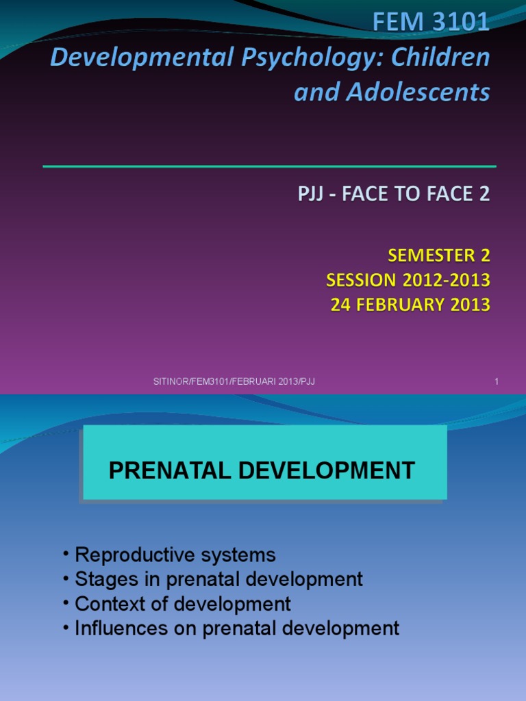 Understanding Prenatal Development: A Comprehensive Overview of the Key ...