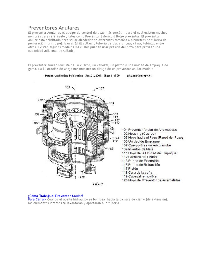 Preventores Anulares