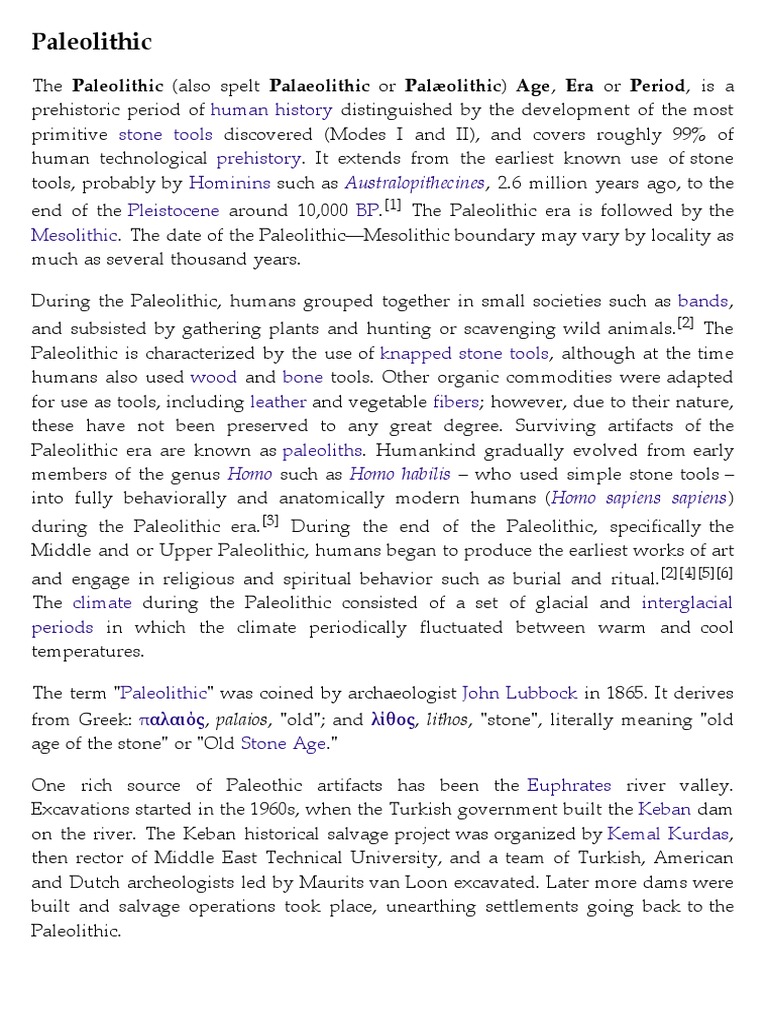 Pal Eolith | PDF | Paleolithic | Pleistocene