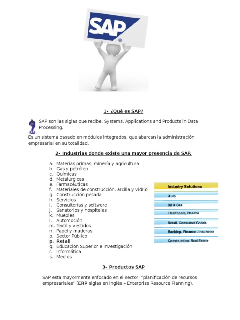 Que Es SAP | PDF | Sap Se | Microsoft Windows