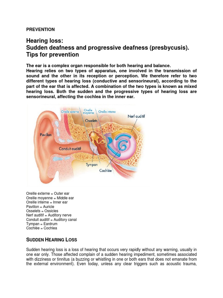 Hearing Loss | PDF | Hearing Loss | Ear