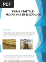 Clasificación General de Las Fibras | PDF | Fibra sintética | Lana