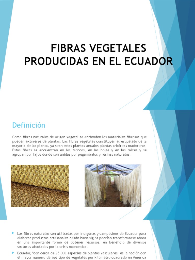 Fibras Vegetales Pdf