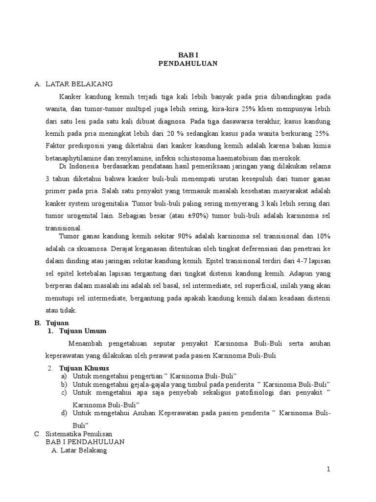 Askep CA Buli-Buli | PDF | Kesehatan Holistik