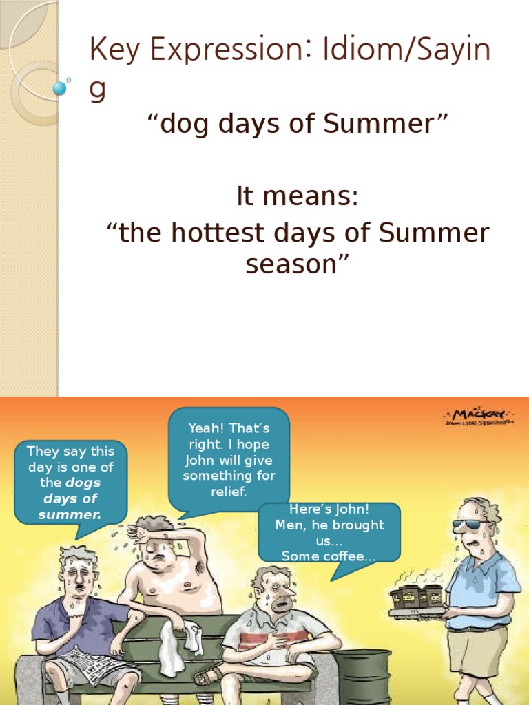 Idioms For Adults | PDF