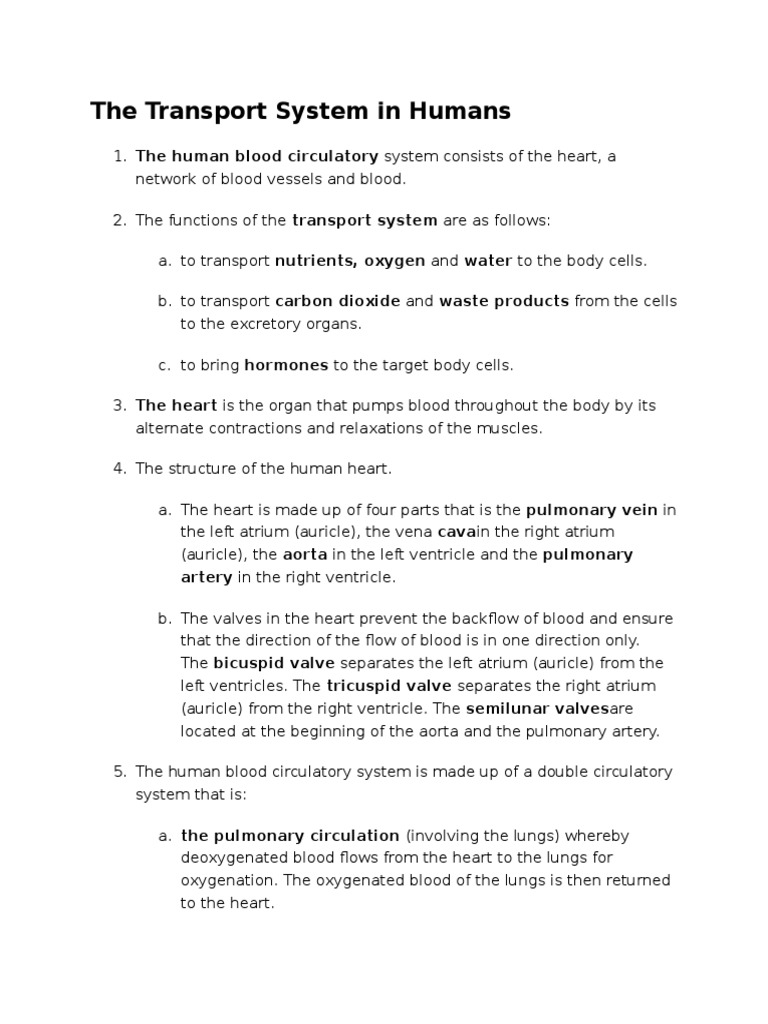 The Transport System in Humans | PDF | Circulatory System | Atrium (Heart)