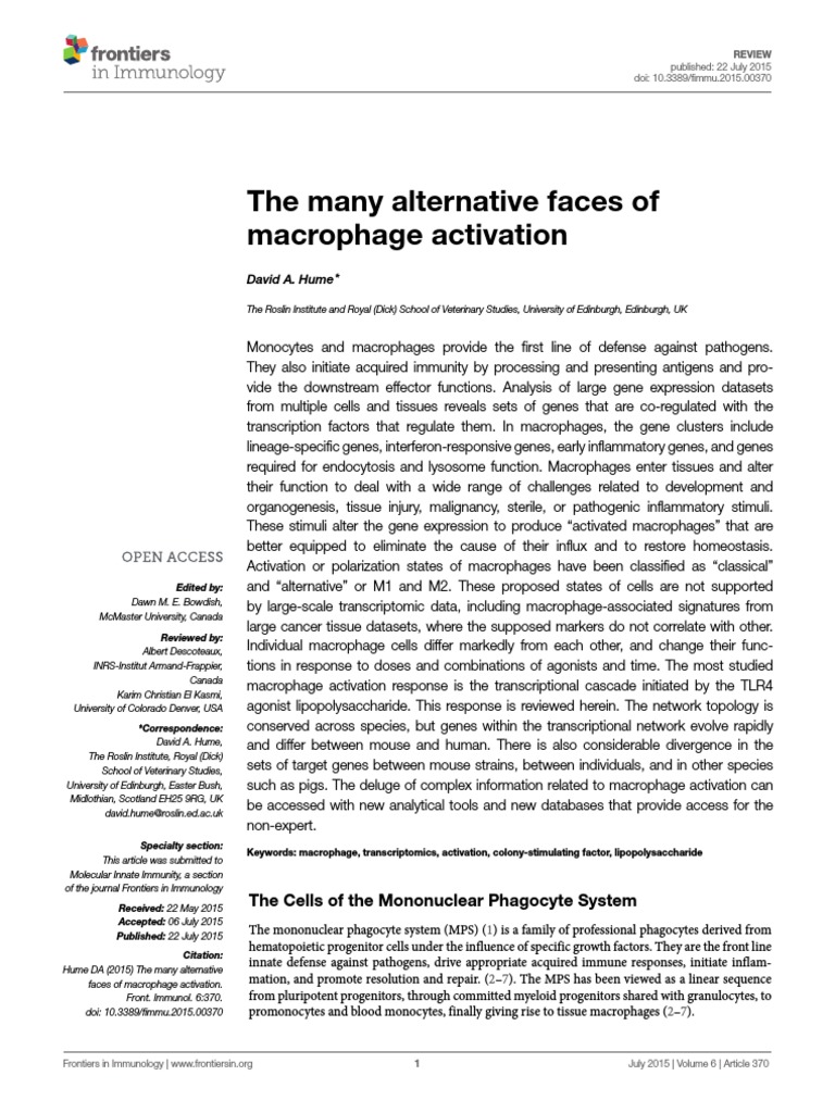 Macrophage Activation Phases | PDF | Macrophage | Monocyte
