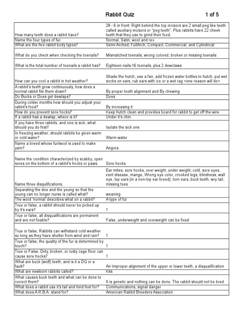 Rabbit Quiz | PDF | Lagomorphs | Domesticated Animals