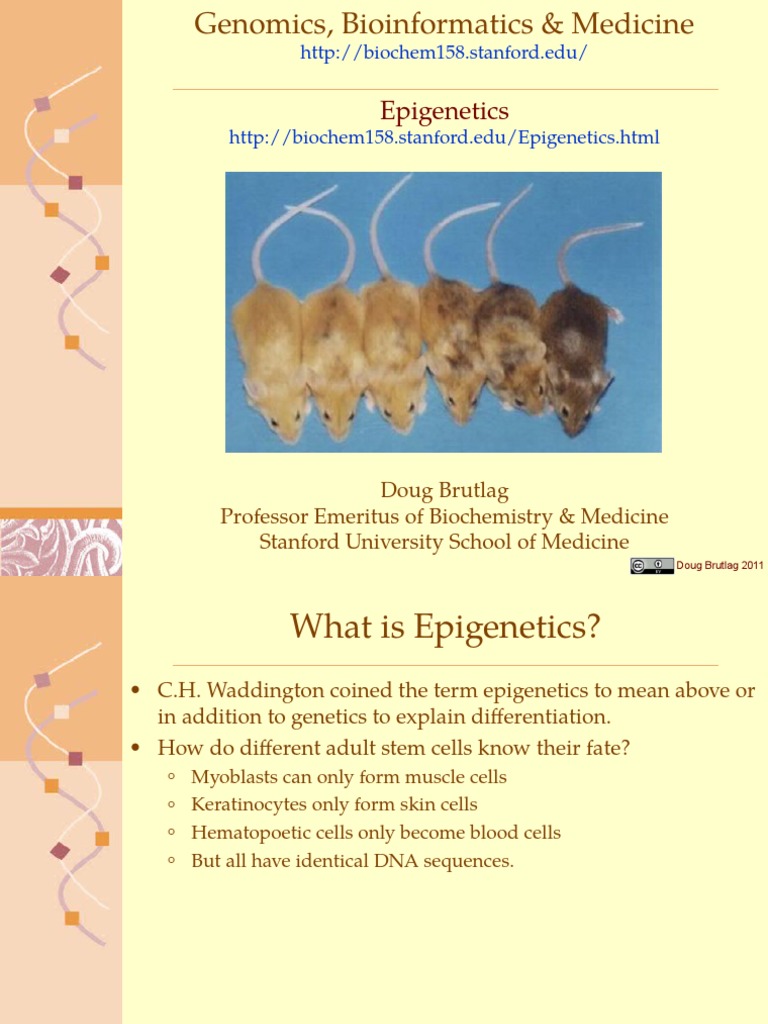 Epigenetics: Doug Brutlag Professor Emeritus of Biochemistry & Medicine ...