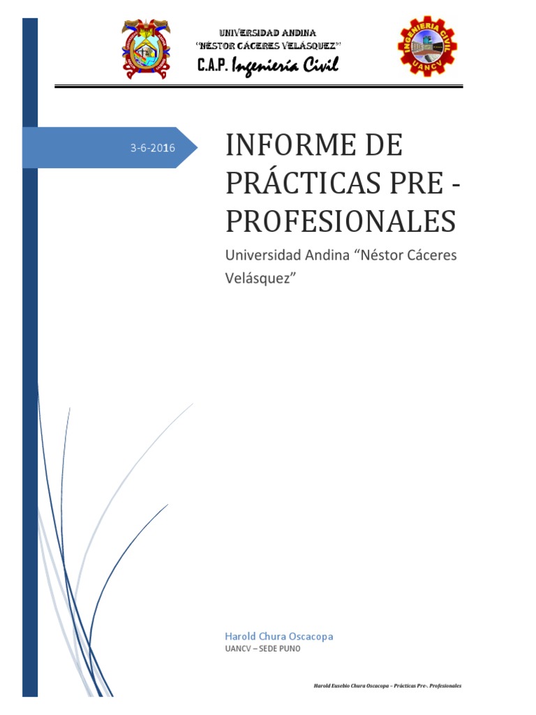 Informe de Practicas Pre Profesionales PDF | PDF | Ingeniero civil | Hormigón
