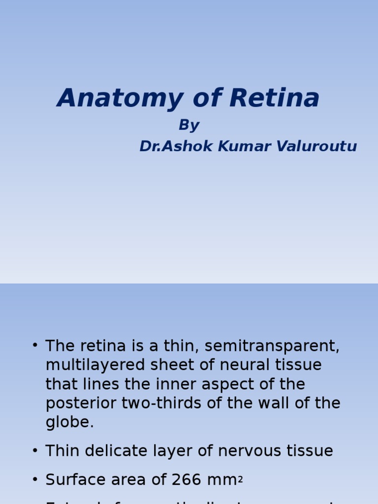 Detailed Overview of Retina Anatomy | PDF | Retina | Visual System