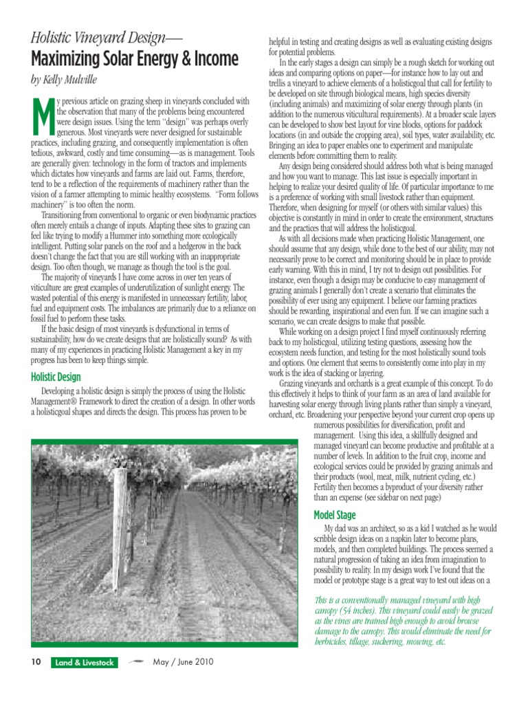 Holistic Vineyard Design | PDF | Vineyard | Stream