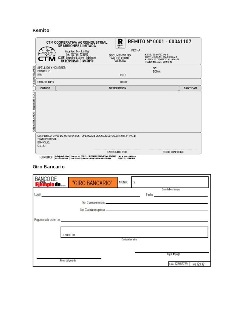 Remito | PDF
