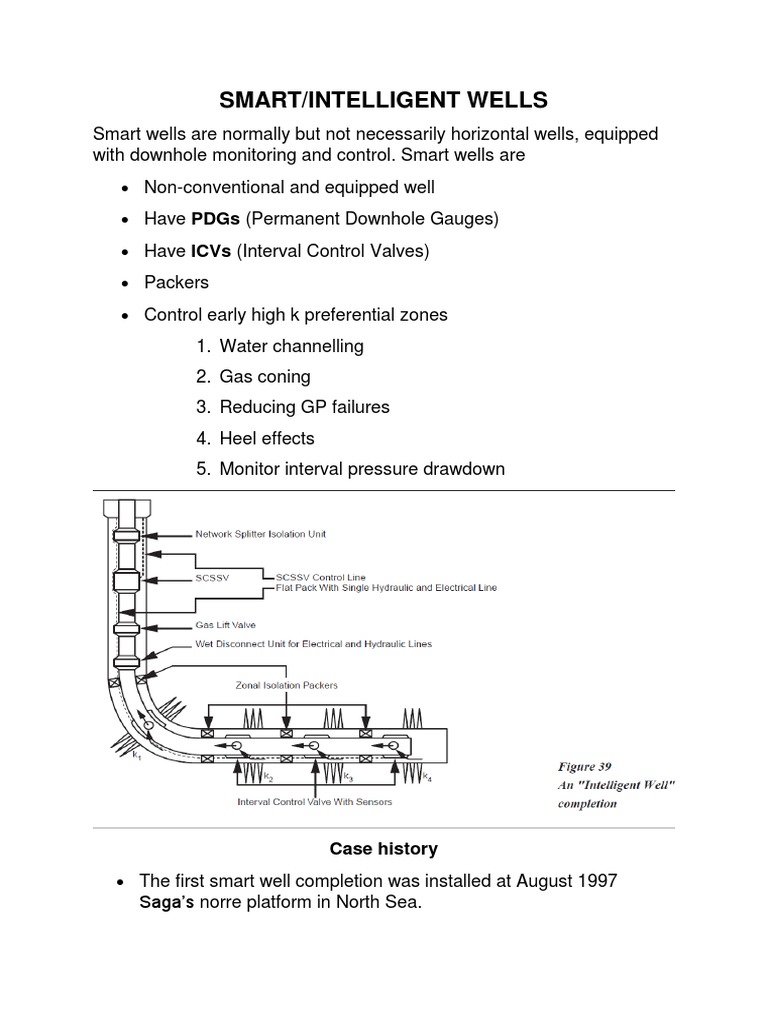 5.SMART Well PDF | PDF