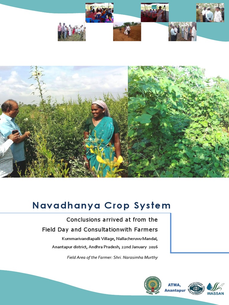 Navadhanya Crop System | PDF | Rain | Cereals
